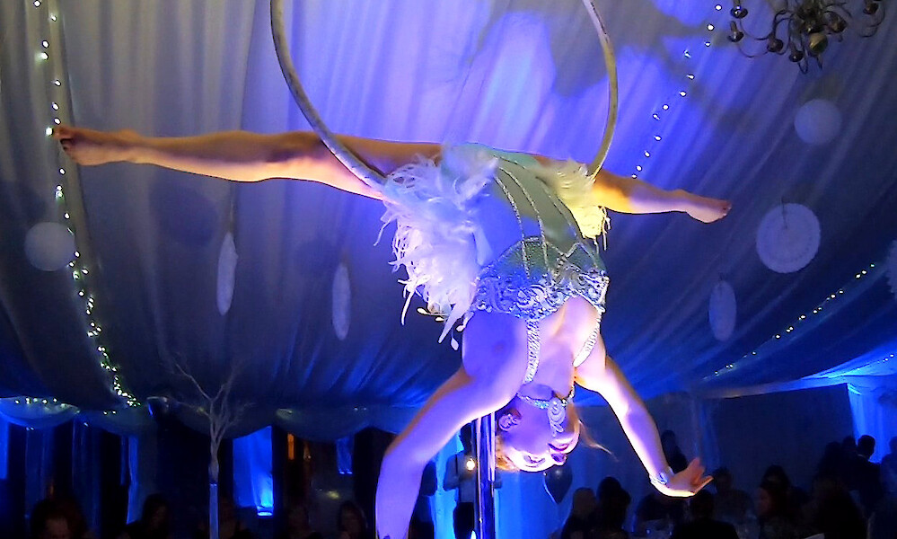 Aerial performers | Freestanding aerial hoop | Hire Aerial performers ...